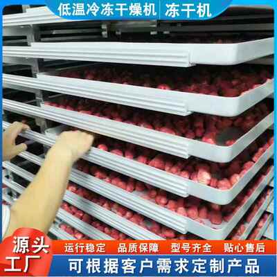 冻干拉缸盐设备能 海参真空冻干燥机UMZ脆枣低 温冻冷干机耗低效