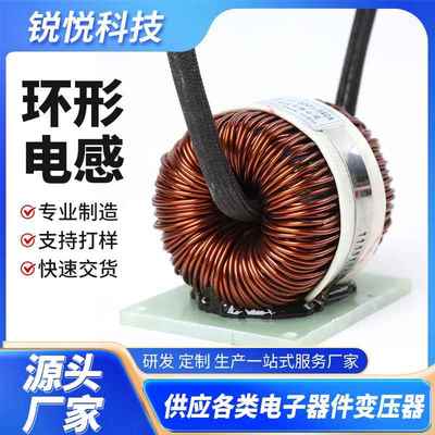 NPF225060/04600μH40A磁环电感/大功率环型电感湖南