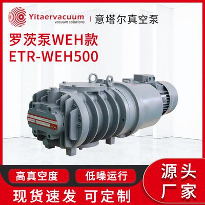 罗茨真空泵WEH款ETR-WEH500现货抽速快低噪声振动清洁环保罗茨泵