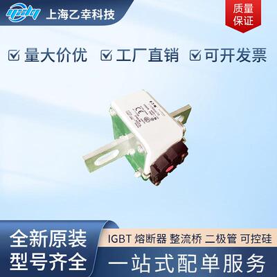巴斯曼熔断器 170M6671 170M6681 170M6688 170M6689 170M6690