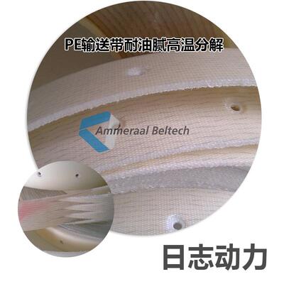 PE ESM 10/2 0+02 SO AS Transp.2.1MM FG PE输送带 食品级输送带
