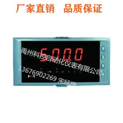 虹润NHR-5910-14-X/X/X/1P-ANHR-5920打印控制仪