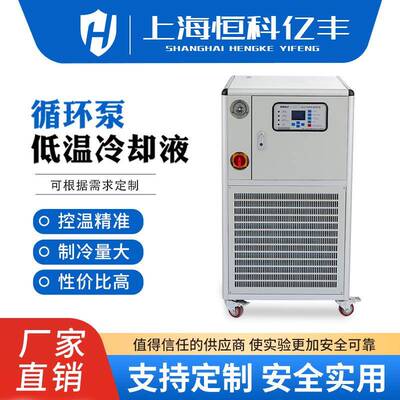 低温冷却液循环泵DLSB实验室制冷低温泵制冷机上海恒科亿丰低温泵