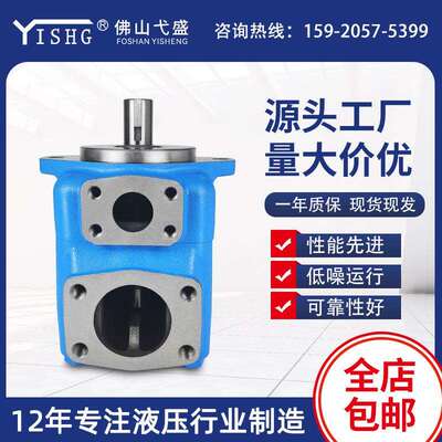 液压叶片泵45V-30A 35A 38A 42A 50A 57A 60A 66A 75A-1ABCD-22R