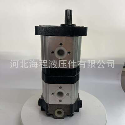 CBTt-F320/310 东方红配套双联恒流泵 E571001