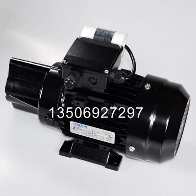 利雅路燃烧器RLS190 RLS250 RLS130 RLS70 RLS100 RLS150油泵电机