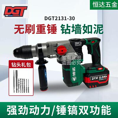 东科博诺30重型充电电锤钻冲击钻电锤钻电镐两用DGT2131-30-28电