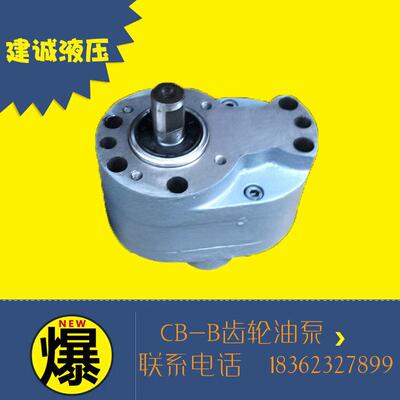 CB-B6/B2.5/B4/B10/B16/B25/B32/B50/B63/B80/B125FR钢齿轮油泵
