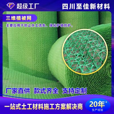 现货源头厂家三维植被网排水网护土坡网绿化边坡土工网植被网定制