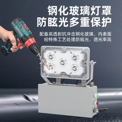 NFC9178固态应急照明灯15W低顶灯 LED配电房走廊风筒应急灯GAD605