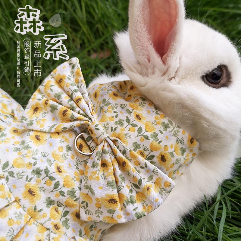 宠物兔趣子咪衣服牵绳兔兔幼猫引猫垂耳兔0074服饰出游萌可爱出街