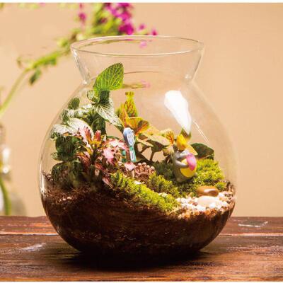 苔藓景观创意景礼品摆tz-20181件绿植苔藓微瓶造瓶木塞灯套带装