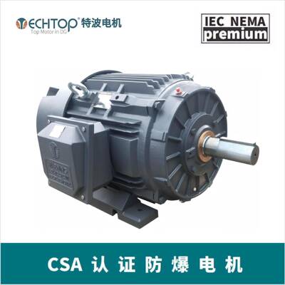 NEMA标准油田防爆电机油井防爆电机Class1Div2防爆电机CSA认证