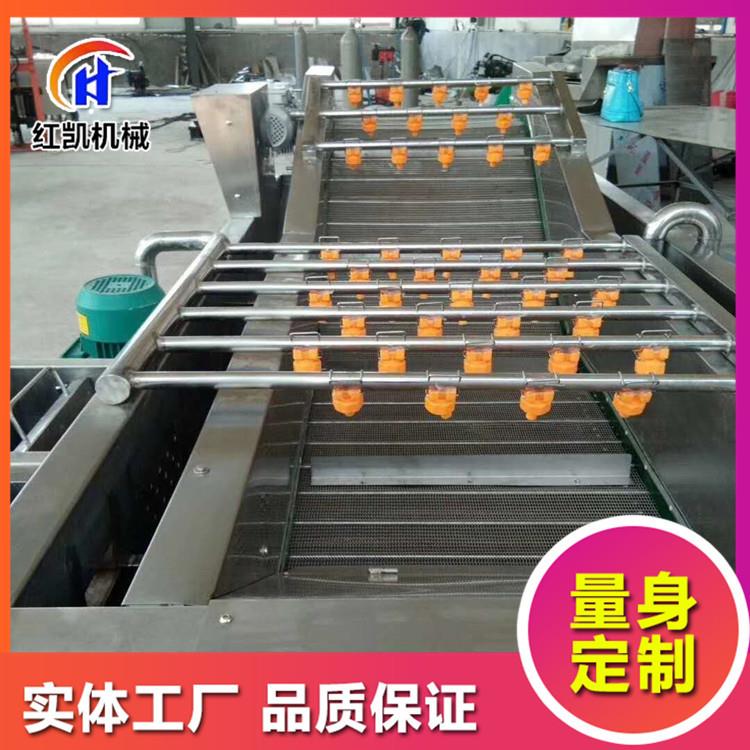 菜椒青椒气泡清洗机设备 全自动 樱桃洗果机 菠菜油麦菜洗菜机