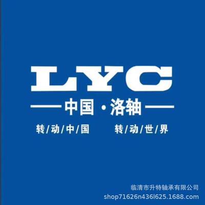 洛阳圆锥滚子轴承30220 30221 30222 30224 30226 30228 30230