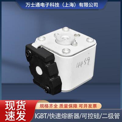 170M4458 170M4459 170M4460 170M4461 170M4462 170M4463熔断器