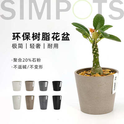 SIMPOTS树脂黑胶轻奢高级感绿植花盆兰花北欧室内禅意日系花盆