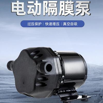 大流量300w12V24VDC自吸水泵增压泵洗车泵浇菜园环卫车房