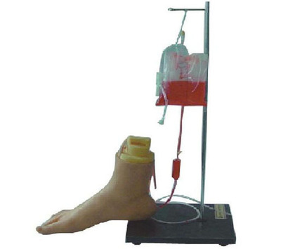 下肢足部静脉注射仿真模型/护理技能训练模型H3018