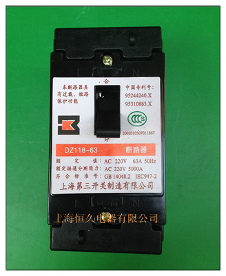电表箱用断路器/63A/32A/40A/20A/50A家用空气开关/2路 DZ118-63