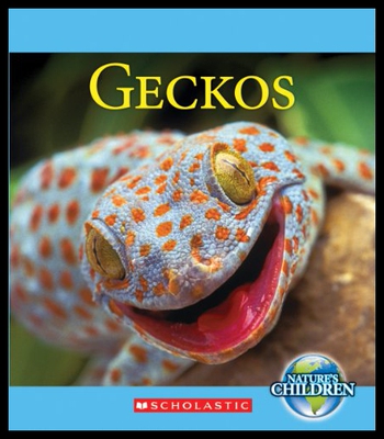 【预售】Geckos