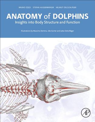 【预订】Anatomy of Dolphins