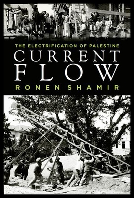 【预售】Current Flow: The Electrification of P