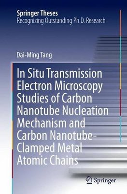 【预订】In Situ Transmission Electron Micros...