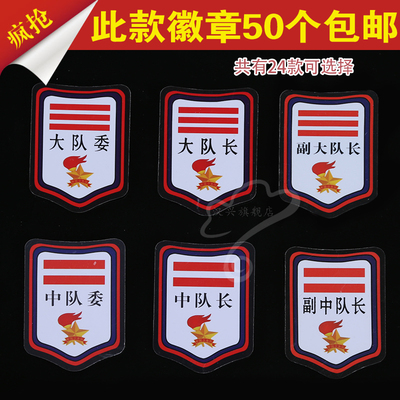 包邮少先队队干标志小队长中队长大队长小队委中队委大队委标志