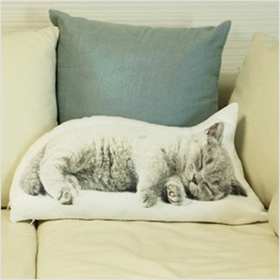 韩国进口可爱风布艺礼品抱枕靠枕