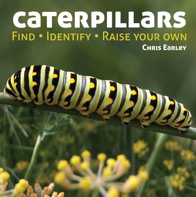【预售】Caterpillars: Find, Identify, Raise Your Own