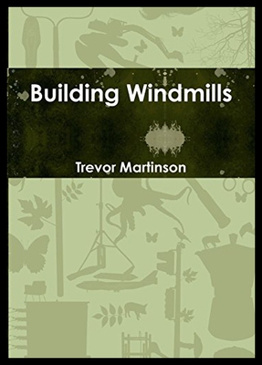 【预售】Building Windmills