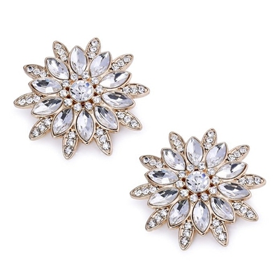 一双价 欧美新款高品质ShoeClips水晶可拆卸鞋扣鞋饰鞋花配件 4cm