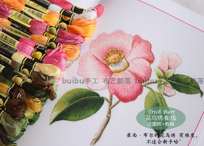 刺绣崔西布尔trishburr山茶花