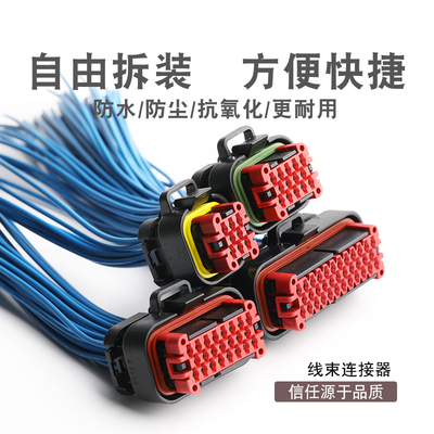 770680-1 汽车连接器防水接插件接线束插头带线20cm 776164-1