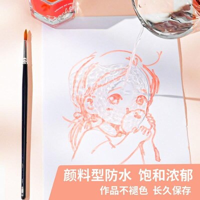 墨水2024年度限定色钢笔彩墨潘通流行色柔和桃银粉颜料防水型