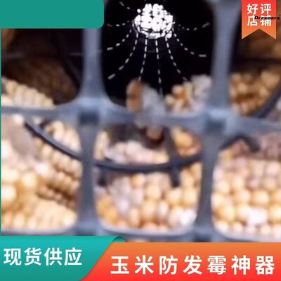 秋收囤玉米防潮散热碳钢架子管玉米棒囤积透气通风管防发霉厂家
