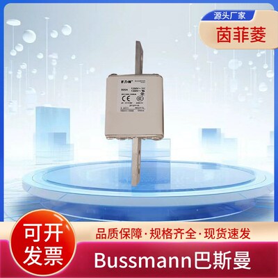 熔断器170M5644 170M5645 170M5646 170M5647 170M5648 170M5649