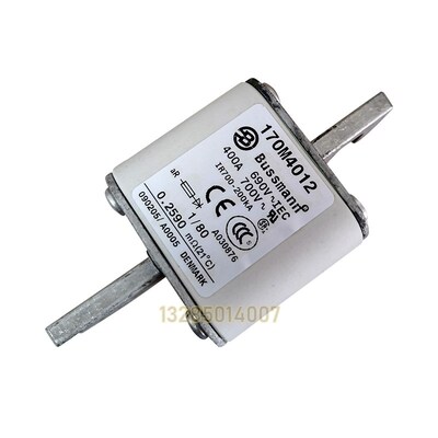 全新快速熔断器保险170M4066 170M4067 170M4068 170M4069