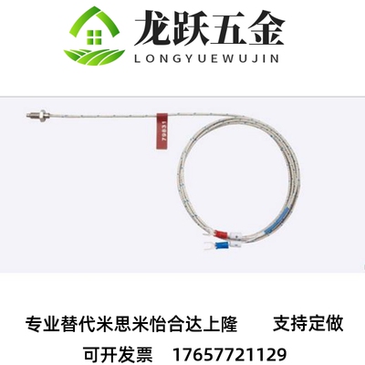 型 热电偶式温度传感器MSNDM6-1