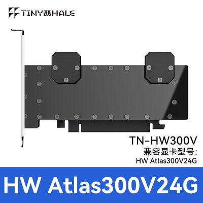 TinyWhale昇腾Atlas300V24G
