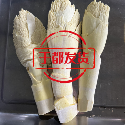 于都棕包赣南特产野生新鲜棕包米棕笋粽包花棕树尖棕包棕带壳发货