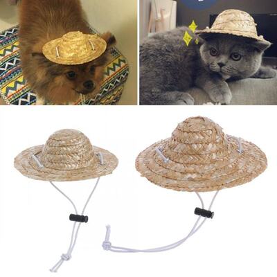 Hawaiian Style Pet Sombrero Hat Dog Cat Hat Small/Large Diam