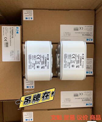 熔断器保险管170M3165 170M3166 170M31.议价
