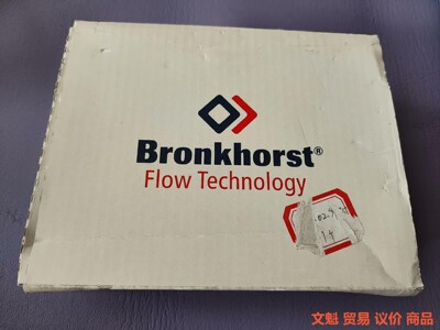 Bronkhorst流量计RUR 101T，气体NH3氨气，.议价