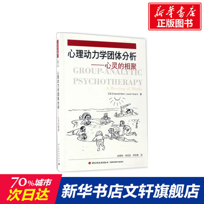心理动力学团体分析:心灵的相聚 (英)哈罗德·贝尔(Harold Behr),(英)莉赛尔·赫斯特(Liesel Hearst) 著;武春艳 译