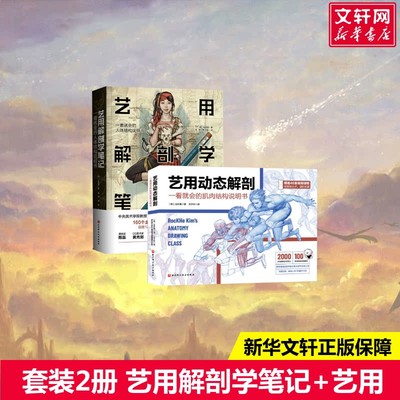 艺用解剖学笔记艺用动态解剖