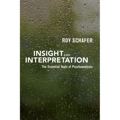 洞见与解读INSIGHT AND INTERPRETATION原版引进