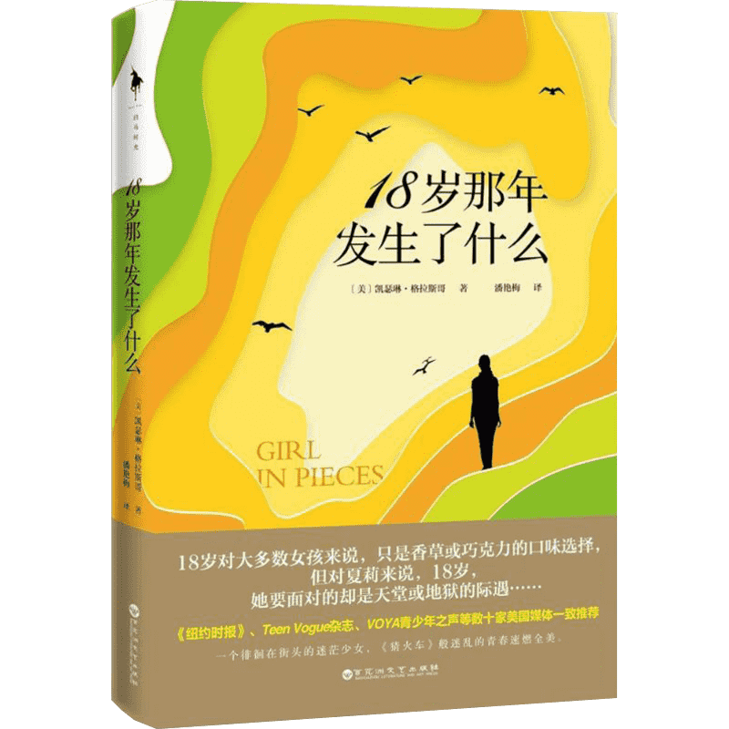 【新华文轩】18岁那年发生了什么 (美)凯瑟琳·格拉斯哥(Kathleen Glasgow) 著;潘艳梅 译