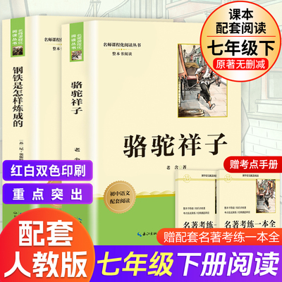 骆驼祥子原著初中版老舍